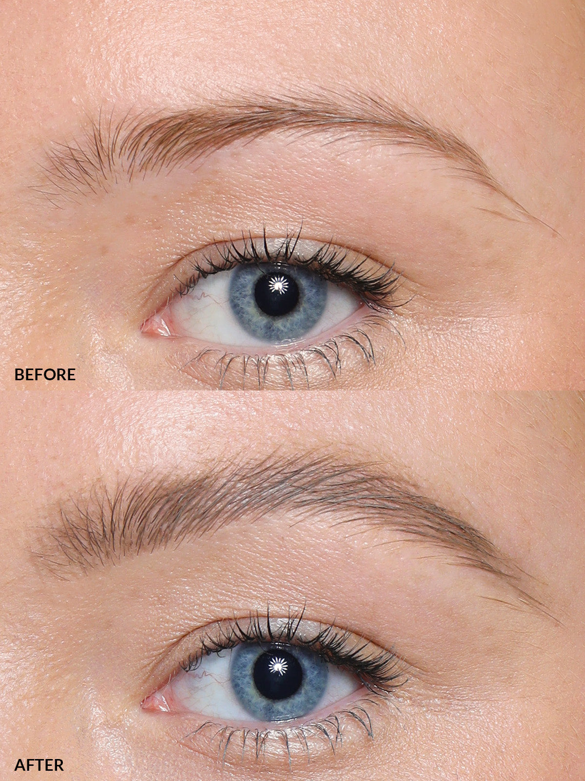 Complete Brow Collection | Simple Brow Kit | REFY